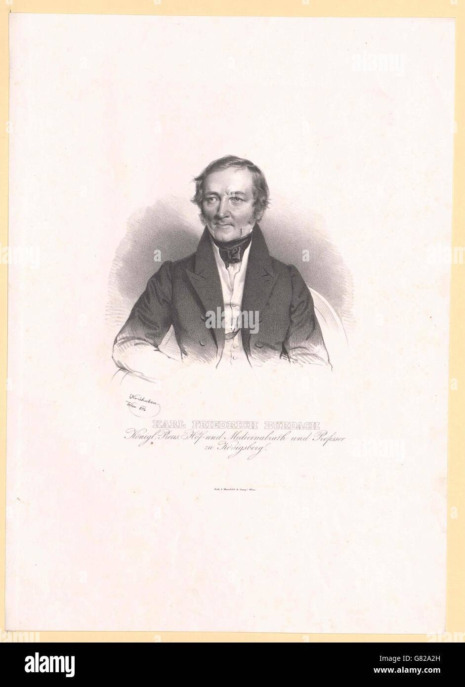 Burdach hi-res stock photography and images - Alamy