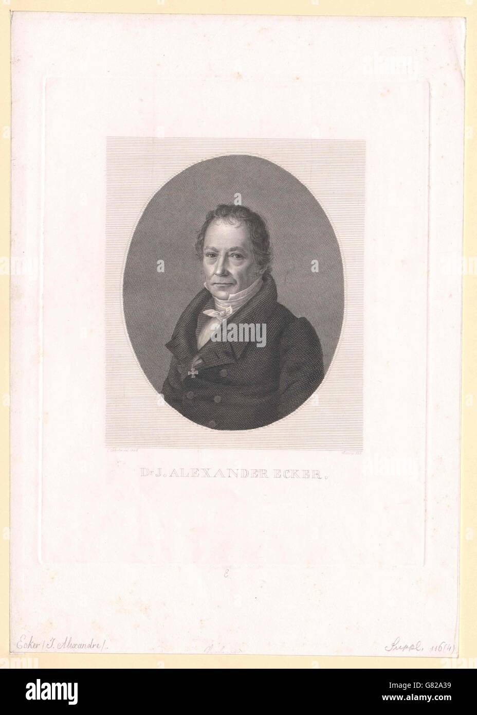 Johann alexander ecker hi-res stock photography and images - Alamy