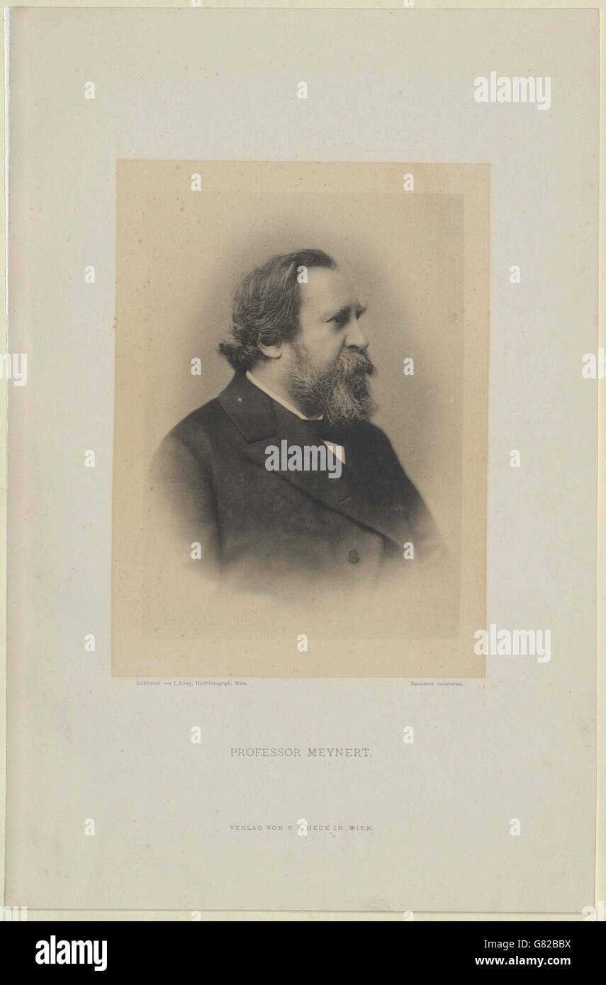 Meynert hi-res stock photography and images - Alamy