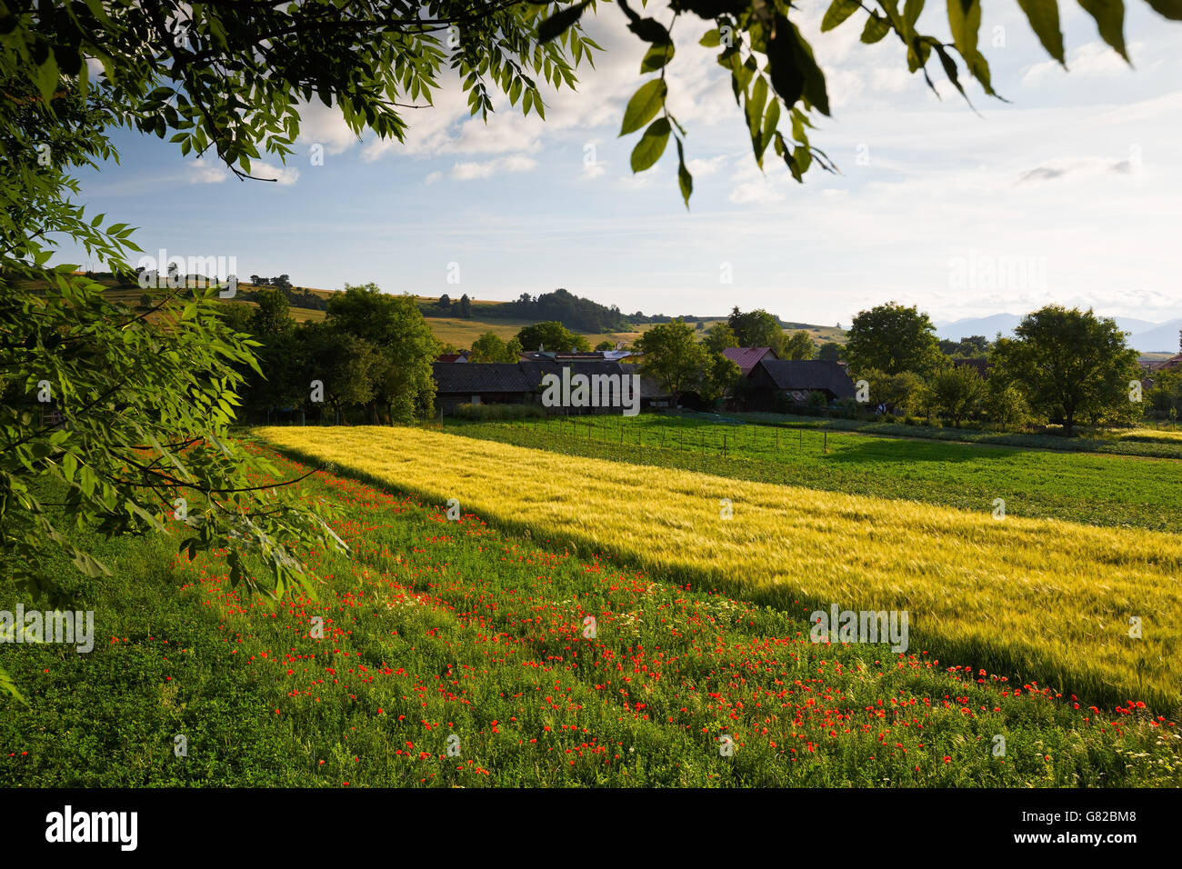 Gardens in a village of Turiec region, northern Slovakia Stock Photo ...