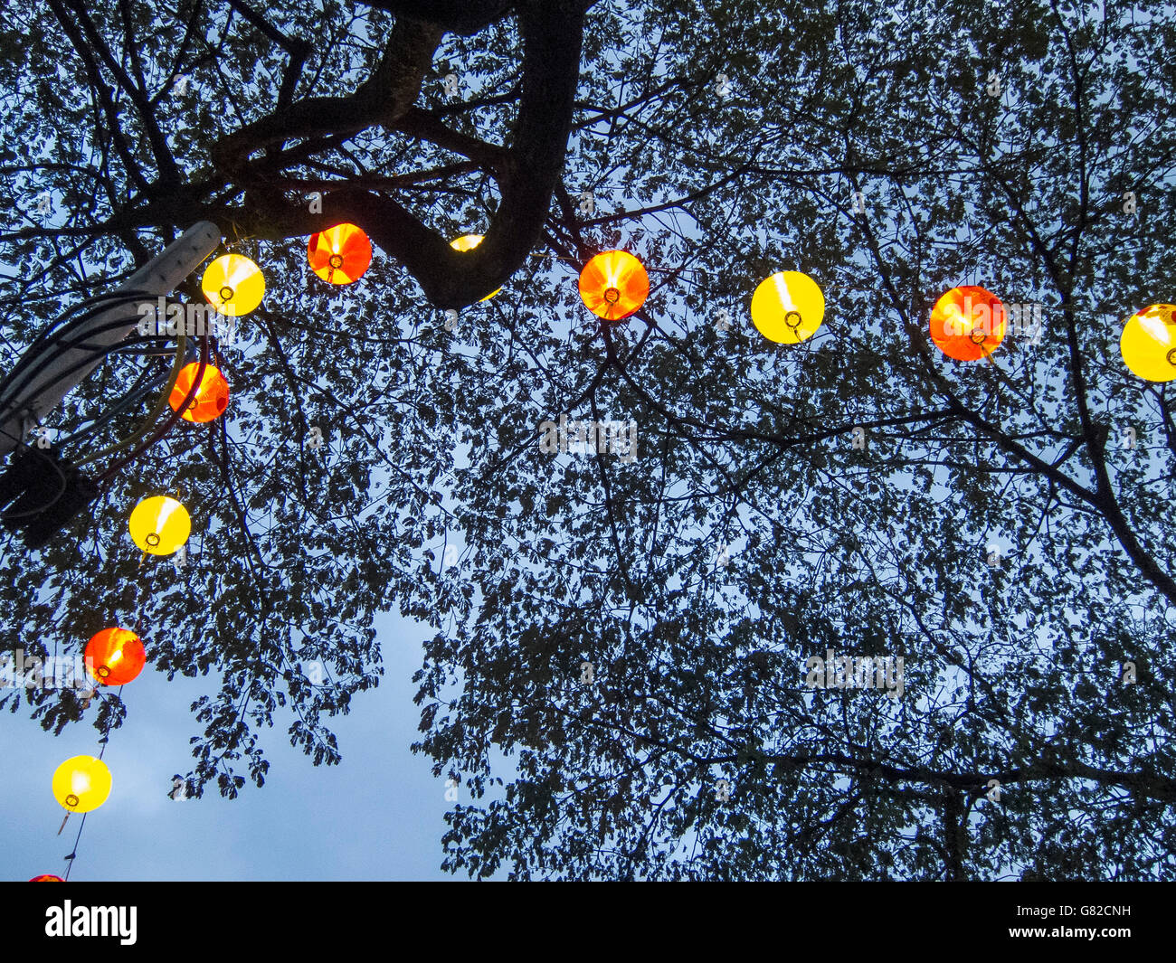 Tree of lanterns hi-res stock photography and images - Alamy