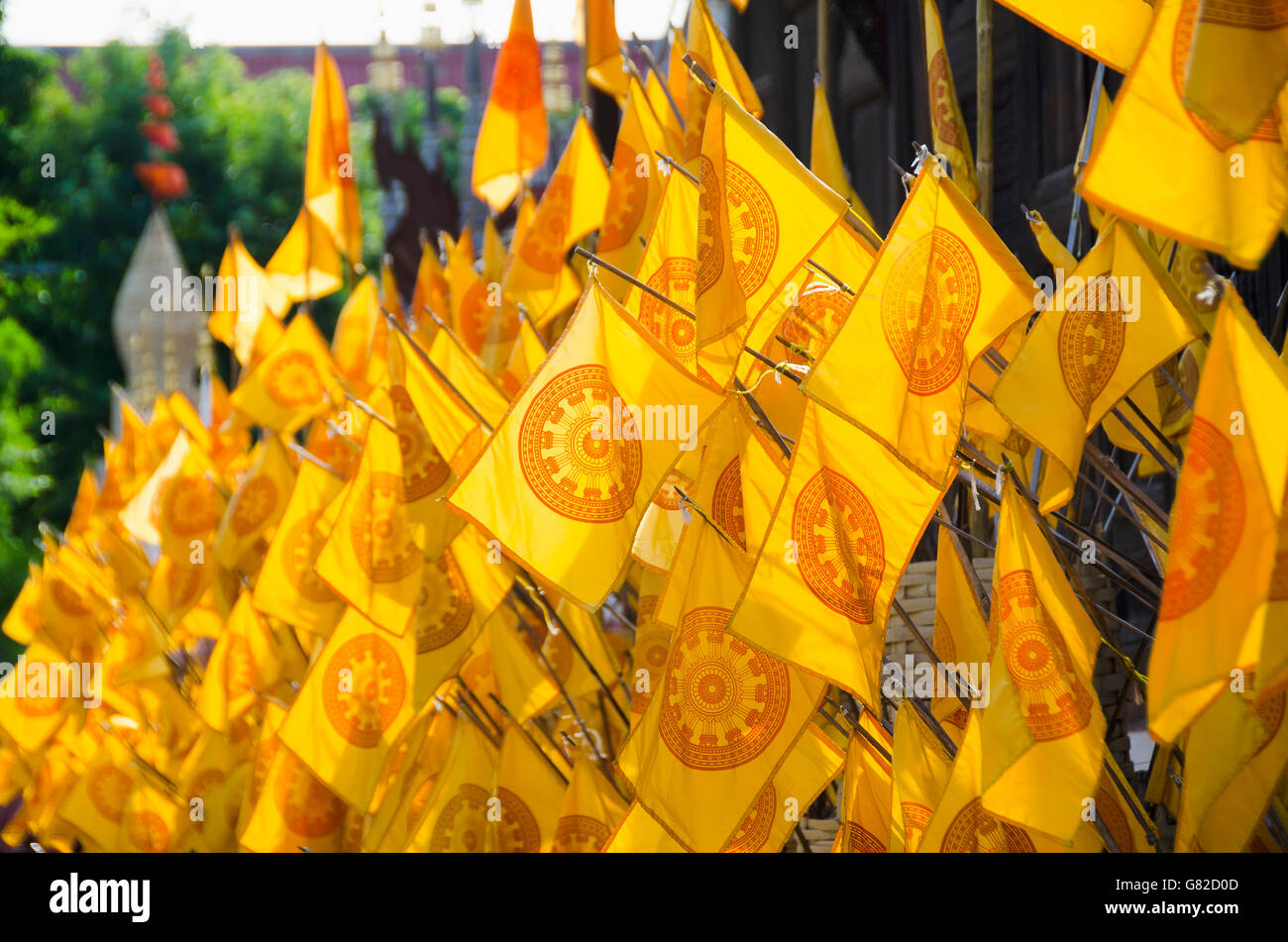 Close-up of yellow prayer flags at temple Stock Photo - Alamy