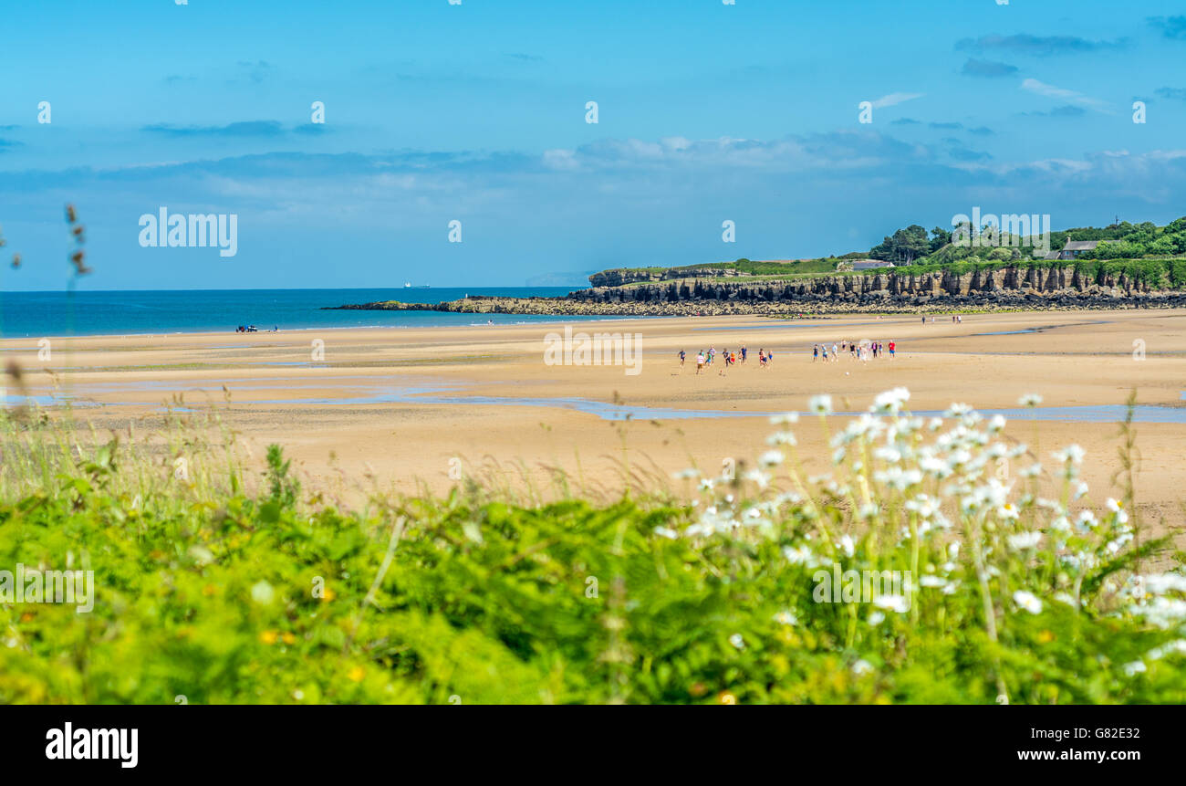 Lligwy beach moelfre anglesey hi-res stock photography and images - Alamy