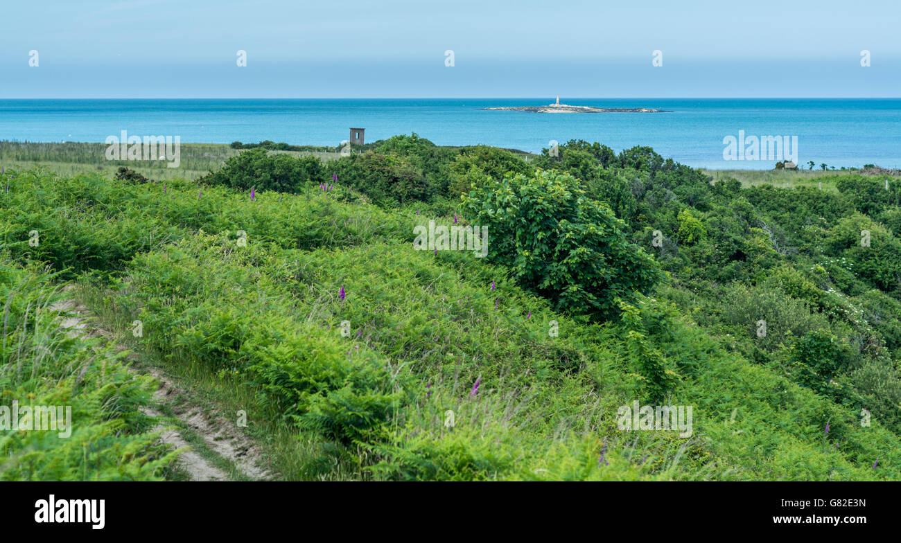 View towards Dulas Island on Anglesey Stock Photo - Alamy
