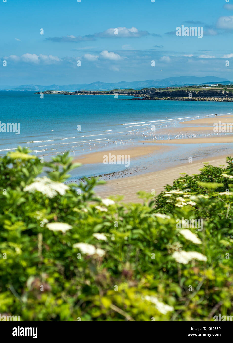 Ynys dulas island hi-res stock photography and images - Alamy
