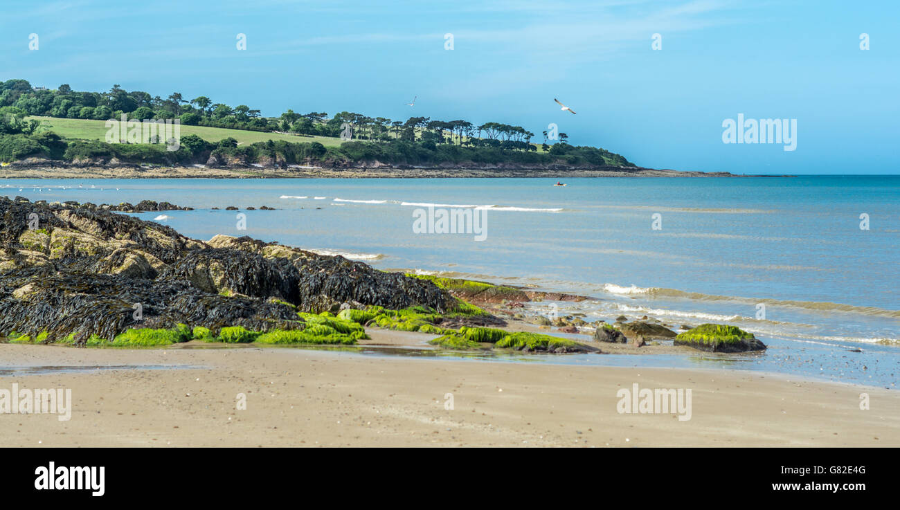 Ynys dulas island hi-res stock photography and images - Alamy