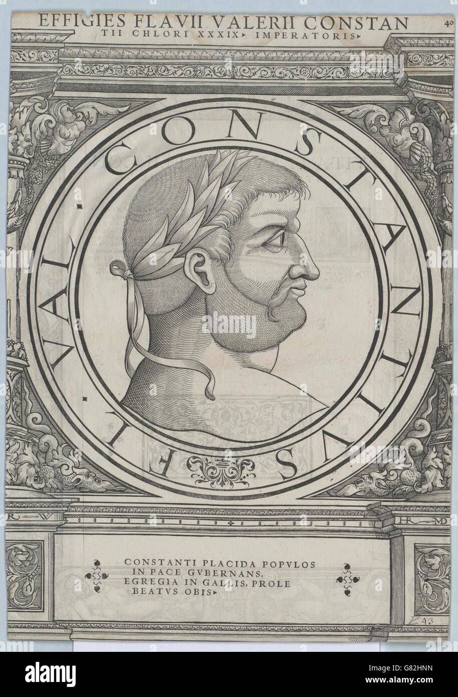 Constantius chlorus hi-res stock photography and images - Alamy