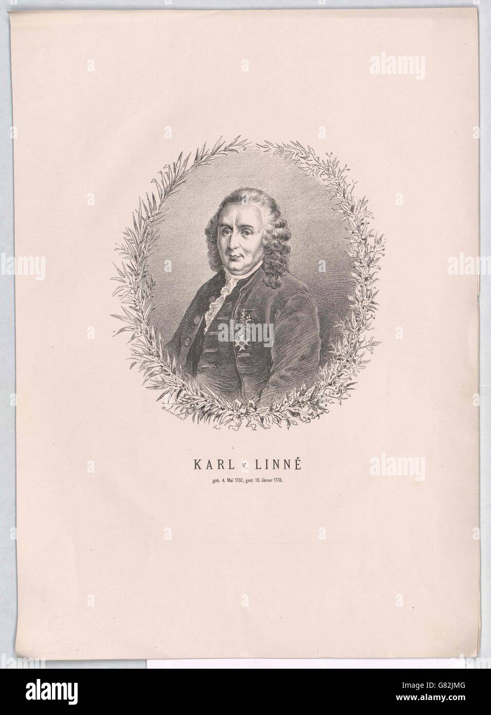 Charles linne hi-res stock photography and images - Alamy