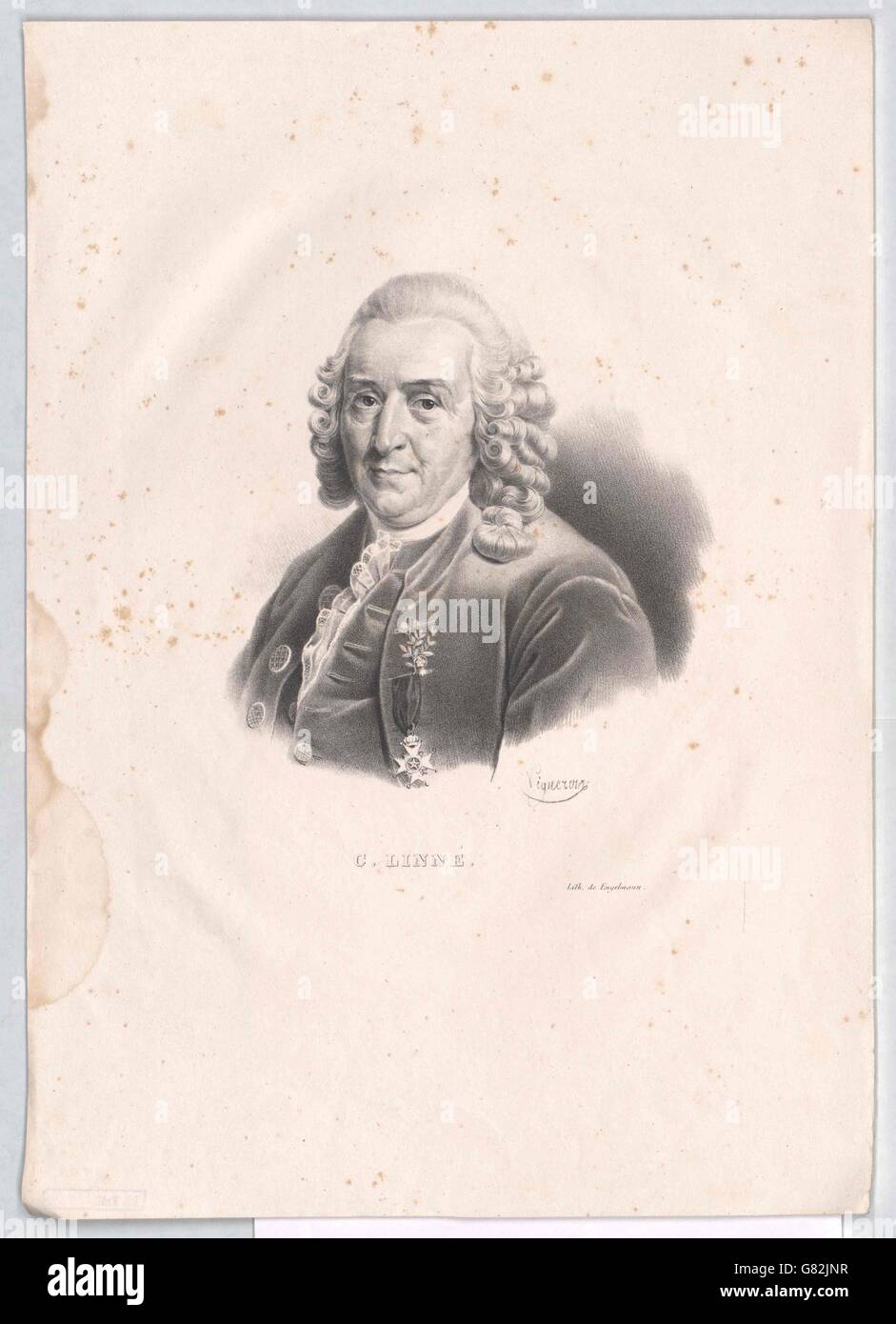 Charles linne hi-res stock photography and images - Alamy