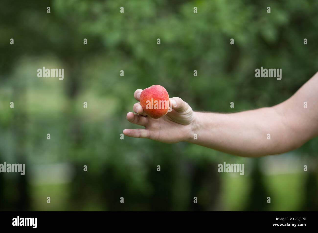 Man holding fresh fruits hi-res stock photography and images - Alamy