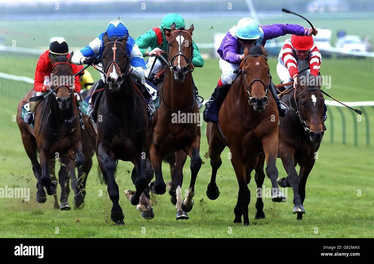 Horse Racing - Craven Meeting - Newmarket Rowley Mile Racecourse Stock ...