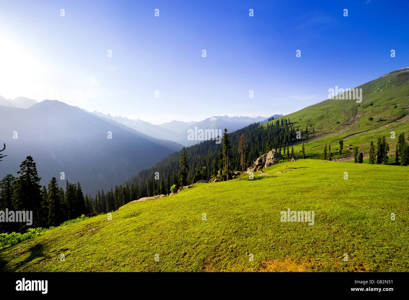 Snow kashmir beautiful pine tree hi-res stock photography and images ...