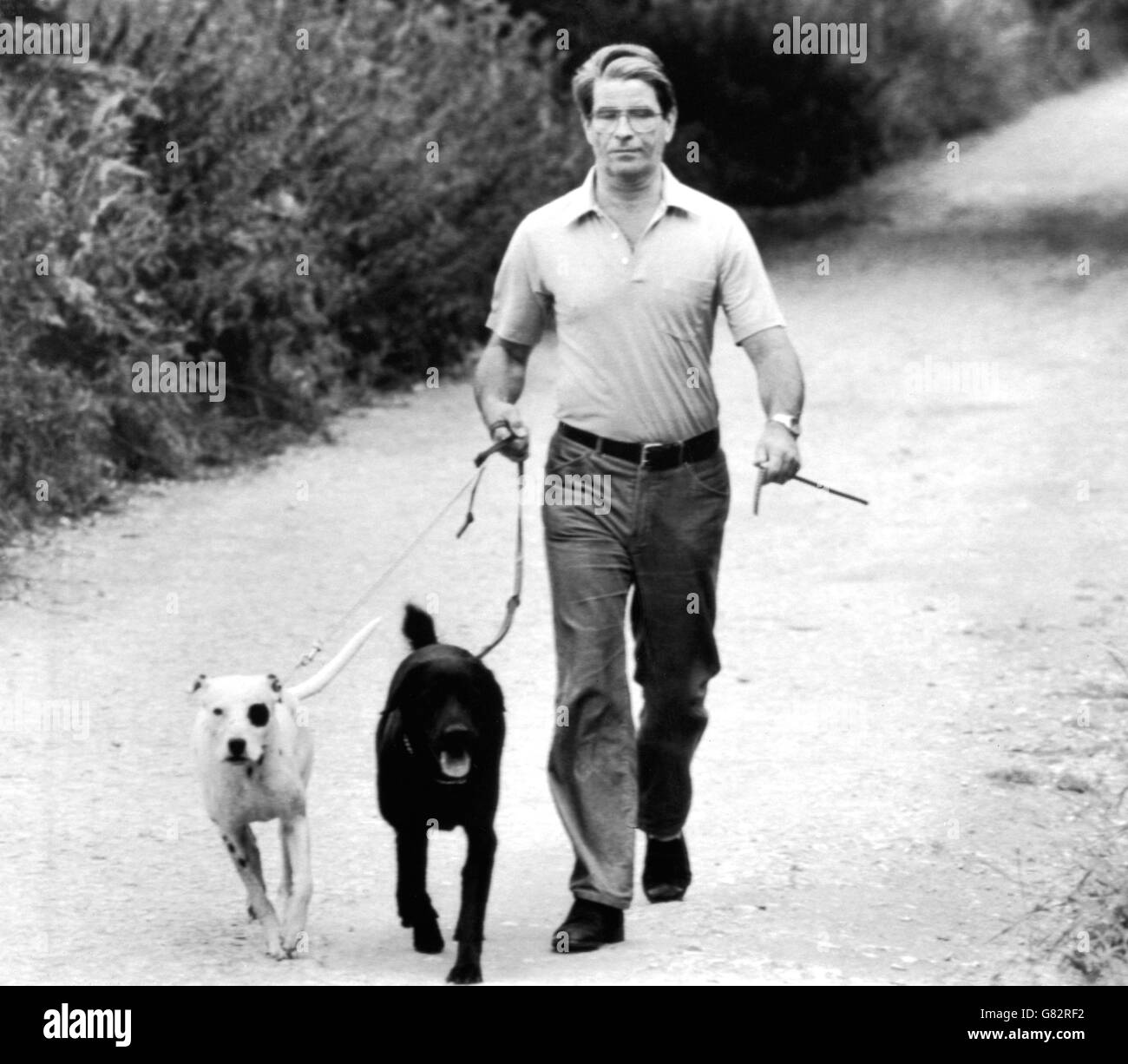 British Airtours Boeing 737 co-pilot Brian Love, one of four crew ...