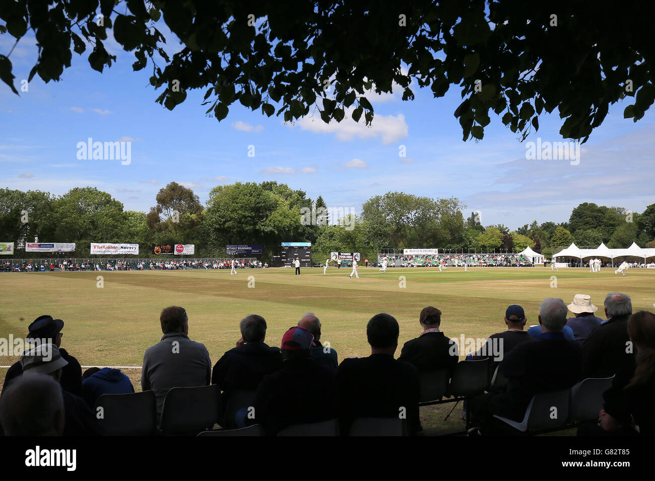 A general view of cricket fans watching the action at Guildford Cricket ...
