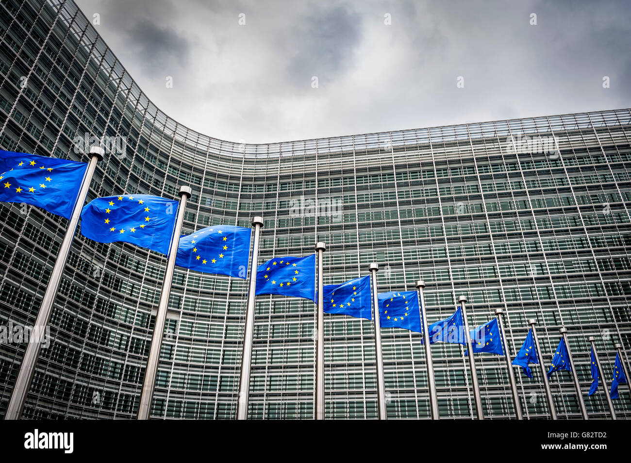 Row of EU European Union flags flying in front of administrative ...