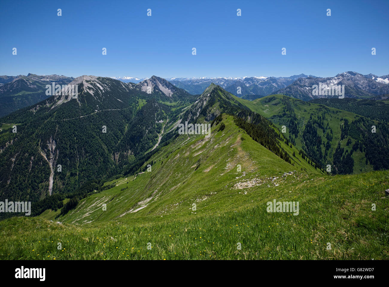 green grass ridge and view of Karwendel mountains, Tyrol, Austria Stock ...