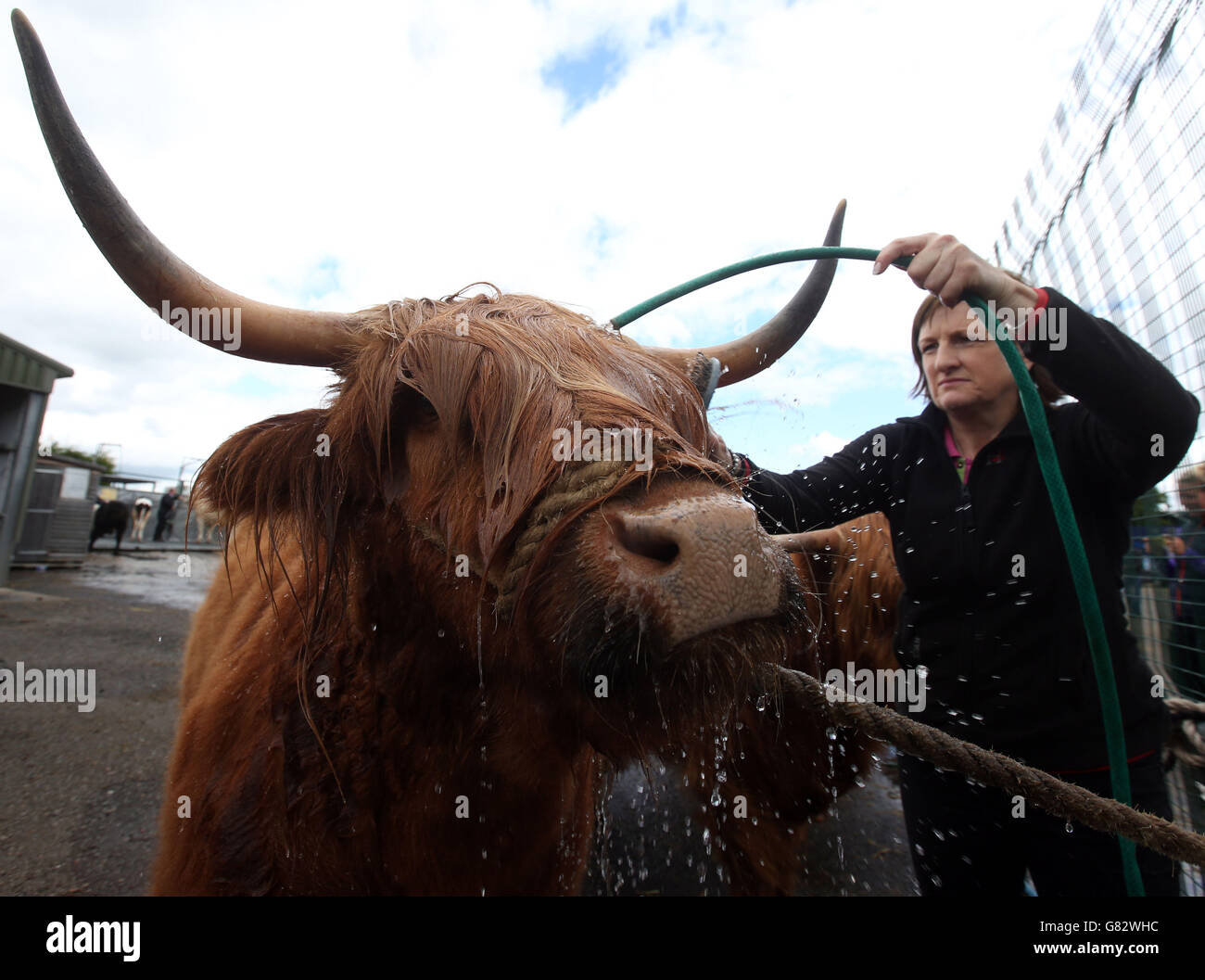 Royal Highland Show Stock Photo - Alamy