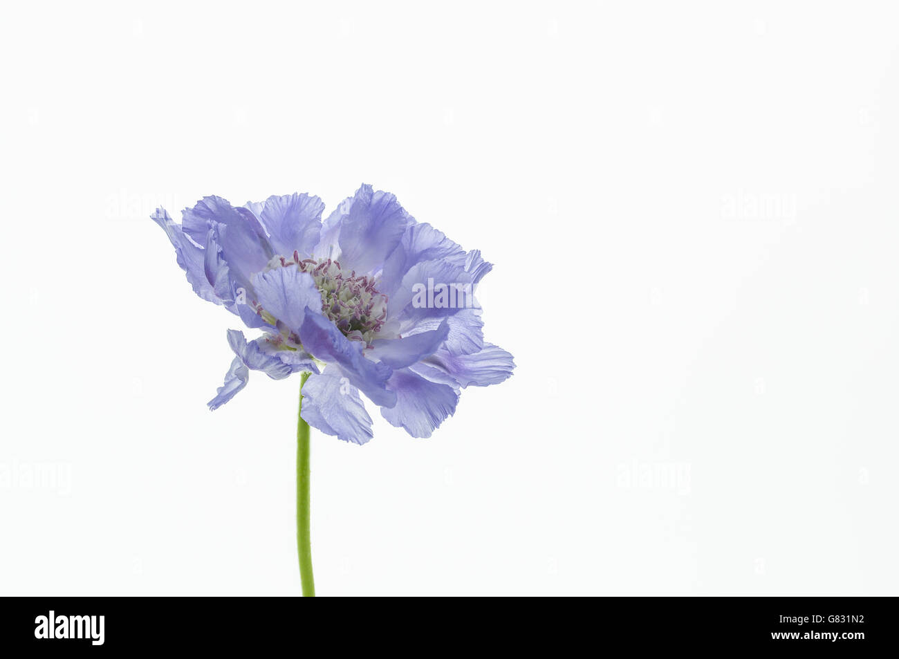 Feeling blue hi-res stock photography and images - Alamy