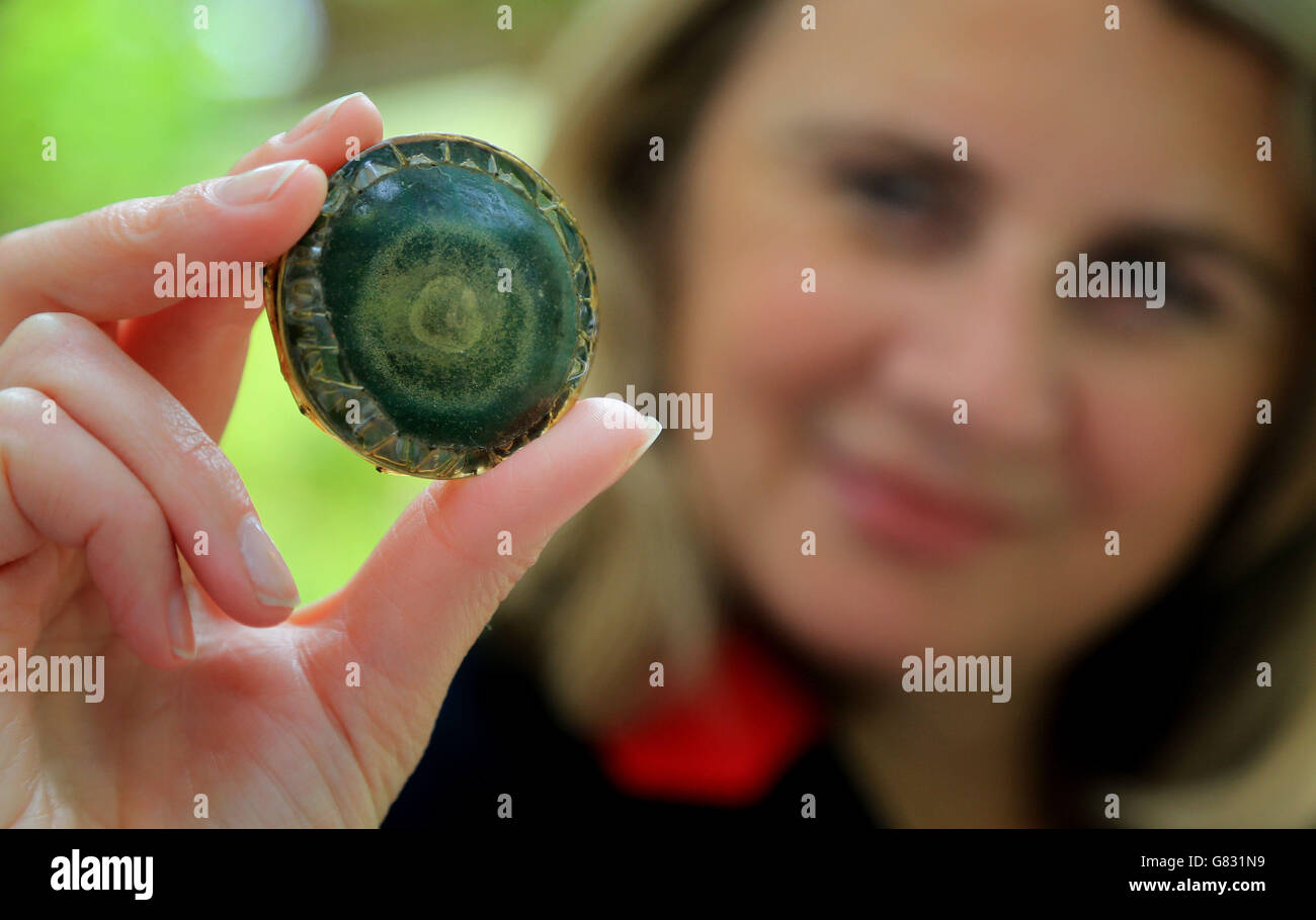 Alexander Fleming auction preview Stock Photo - Alamy