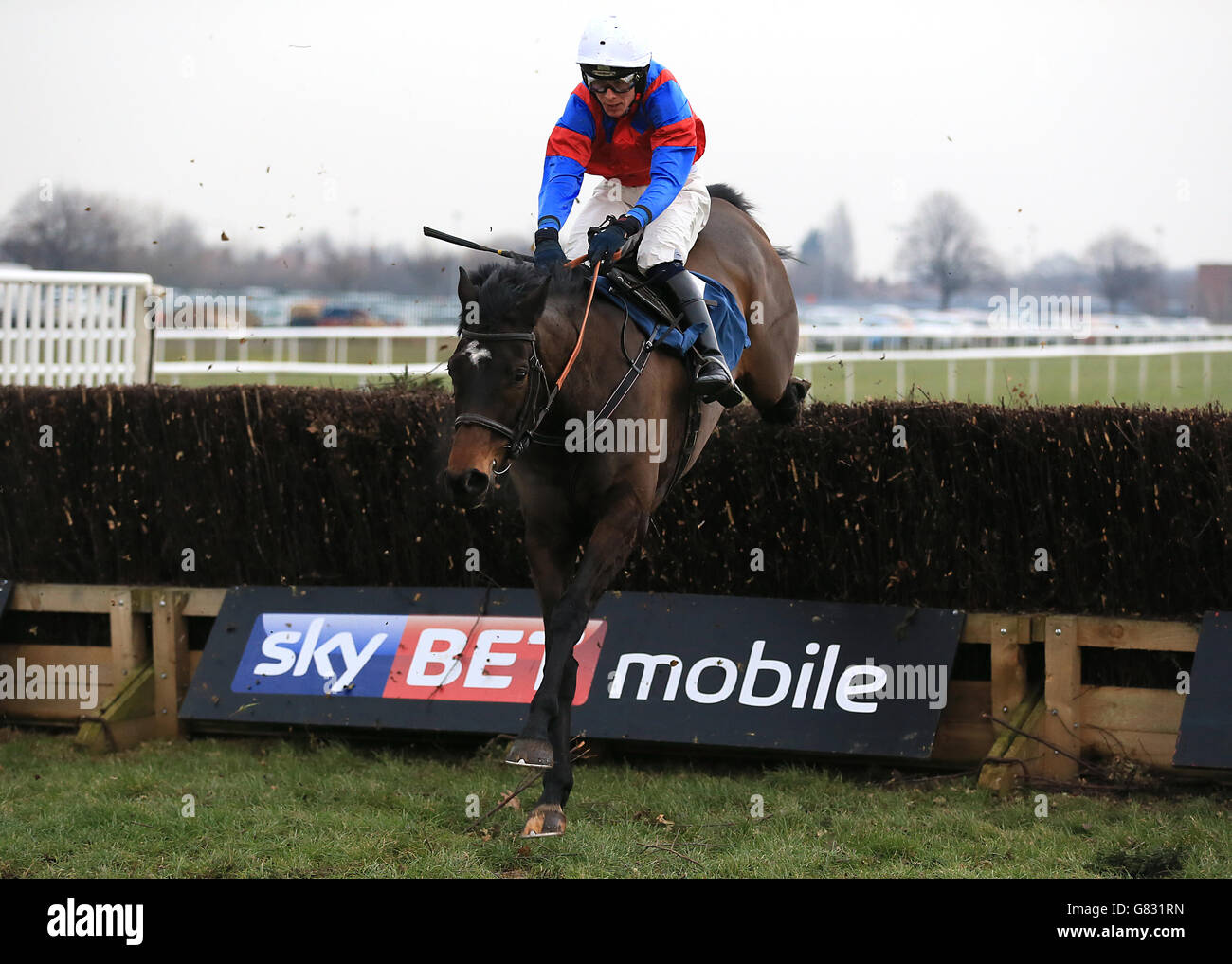 Jockey Lee Edwards riding Expanding Universe in the Skybet Are You In ...