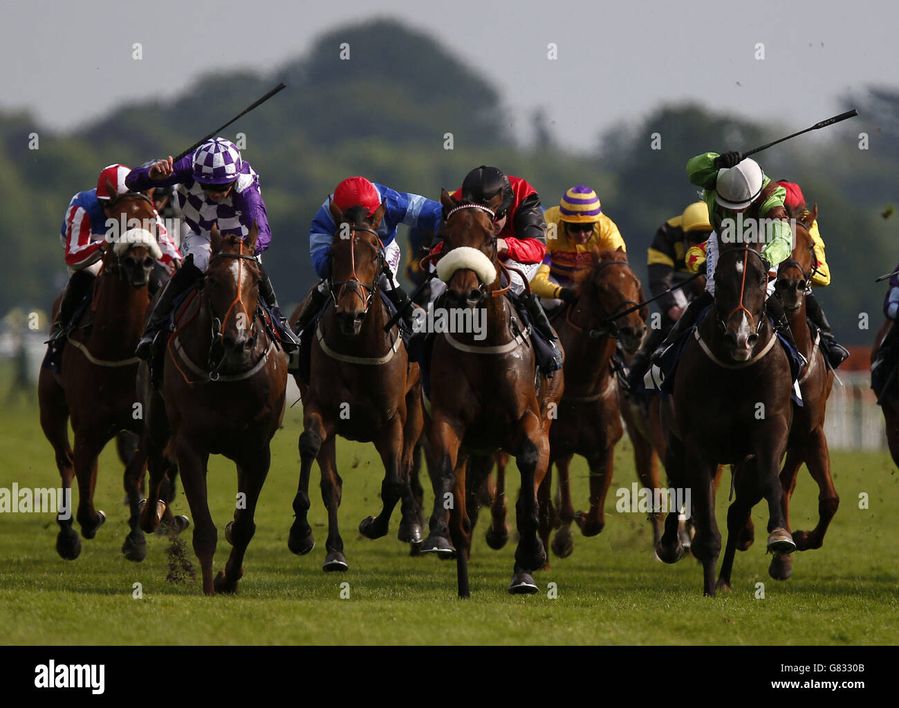 Horse Racing - York Racecourse Stock Photo - Alamy