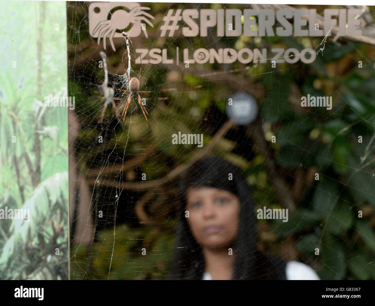 s Friendly Spider Programme Stock Photo - Alamy