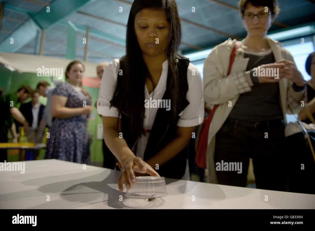 S friendly spider programme london zoo hi-res stock photography and ...