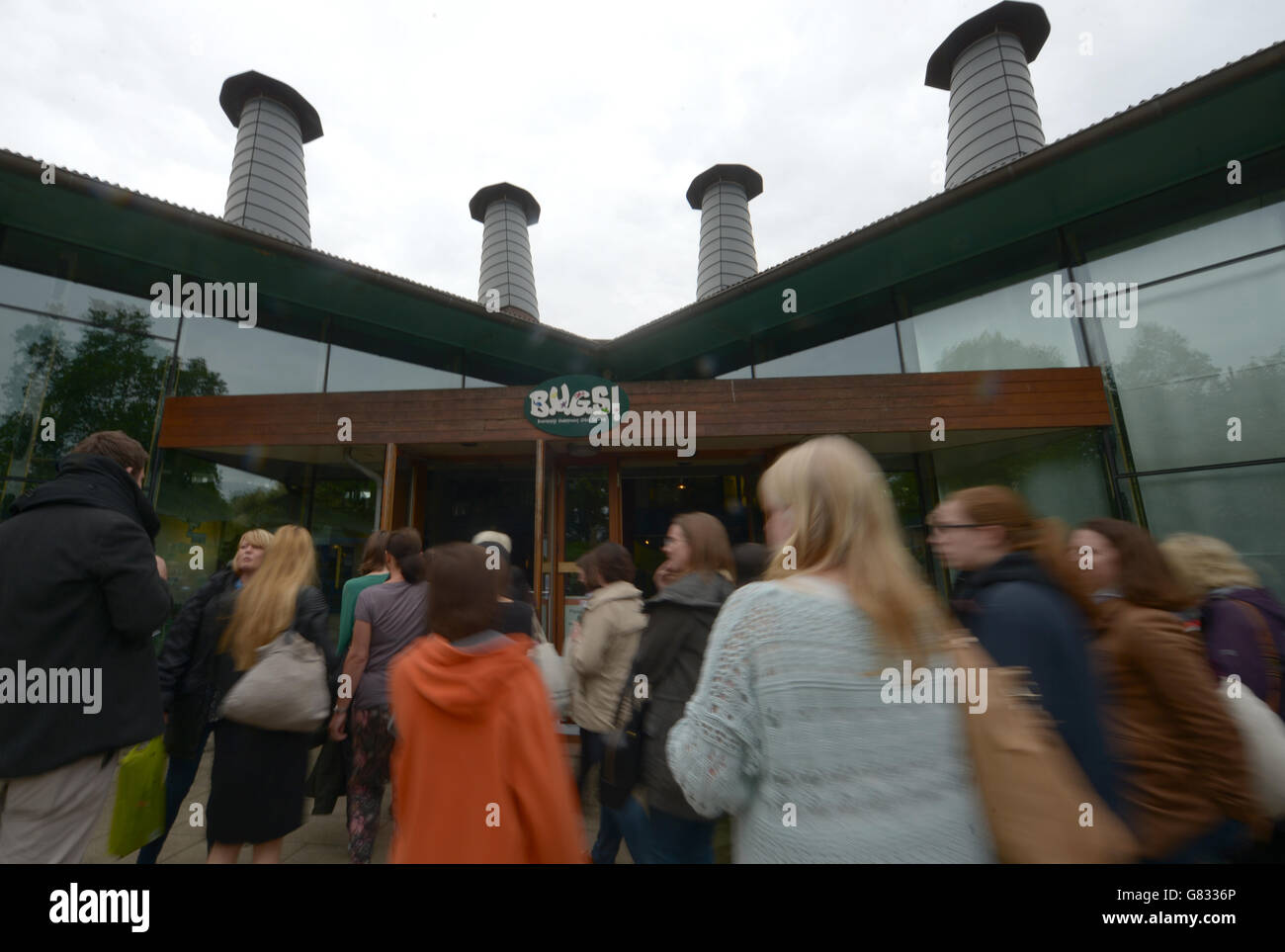 s Friendly Spider Programme. s Friendly Spider Programme at London Zoo ...