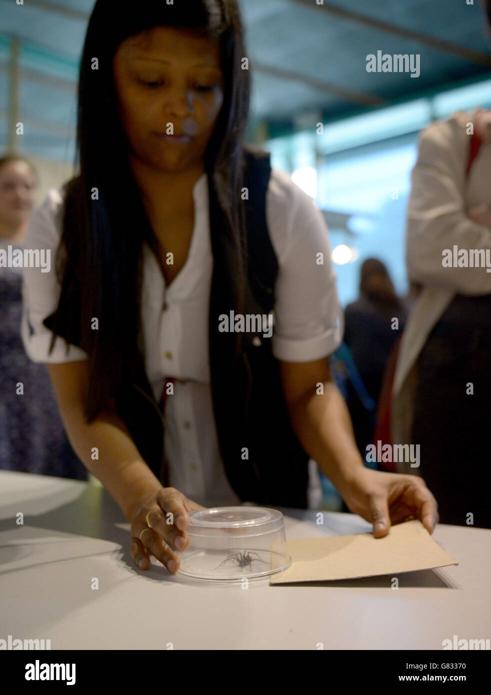 s Friendly Spider Programme Stock Photo - Alamy