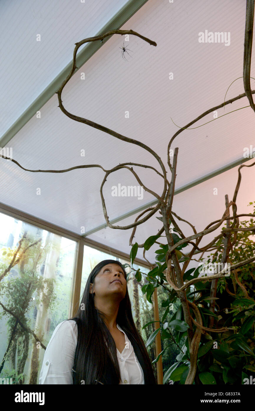 s Friendly Spider Programme Stock Photo - Alamy