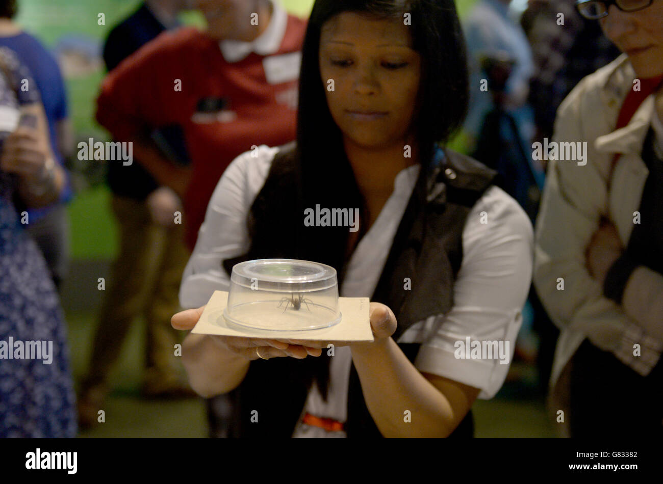 s Friendly Spider Programme Stock Photo - Alamy