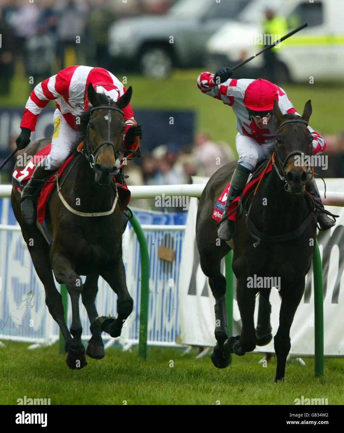 Horse Racing - Scottish Grand National - Ayr Racecourse Stock Photo - Alamy