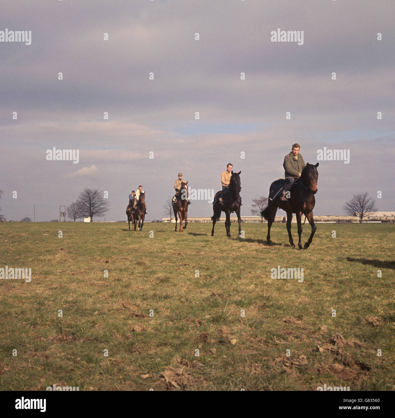 Beverley common hi-res stock photography and images - Alamy