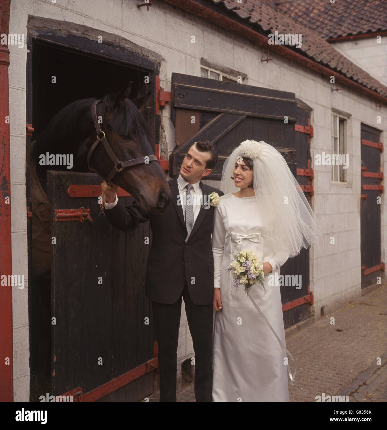 Horse Racing - W.H Gray Stables - Beverley Stock Photo - Alamy