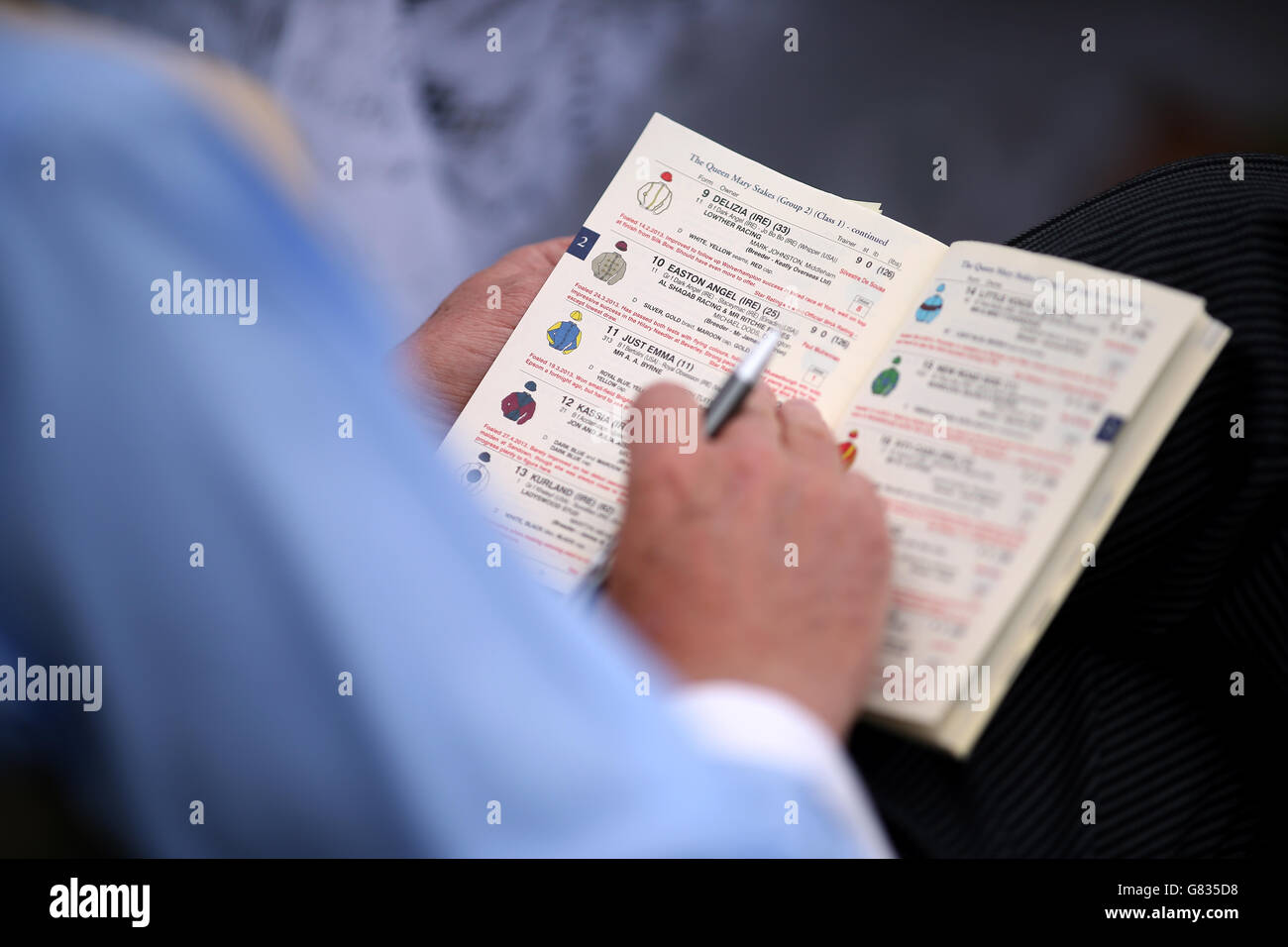 A racegoers checks the race cards on day two of the 2015 Royal Ascot ...