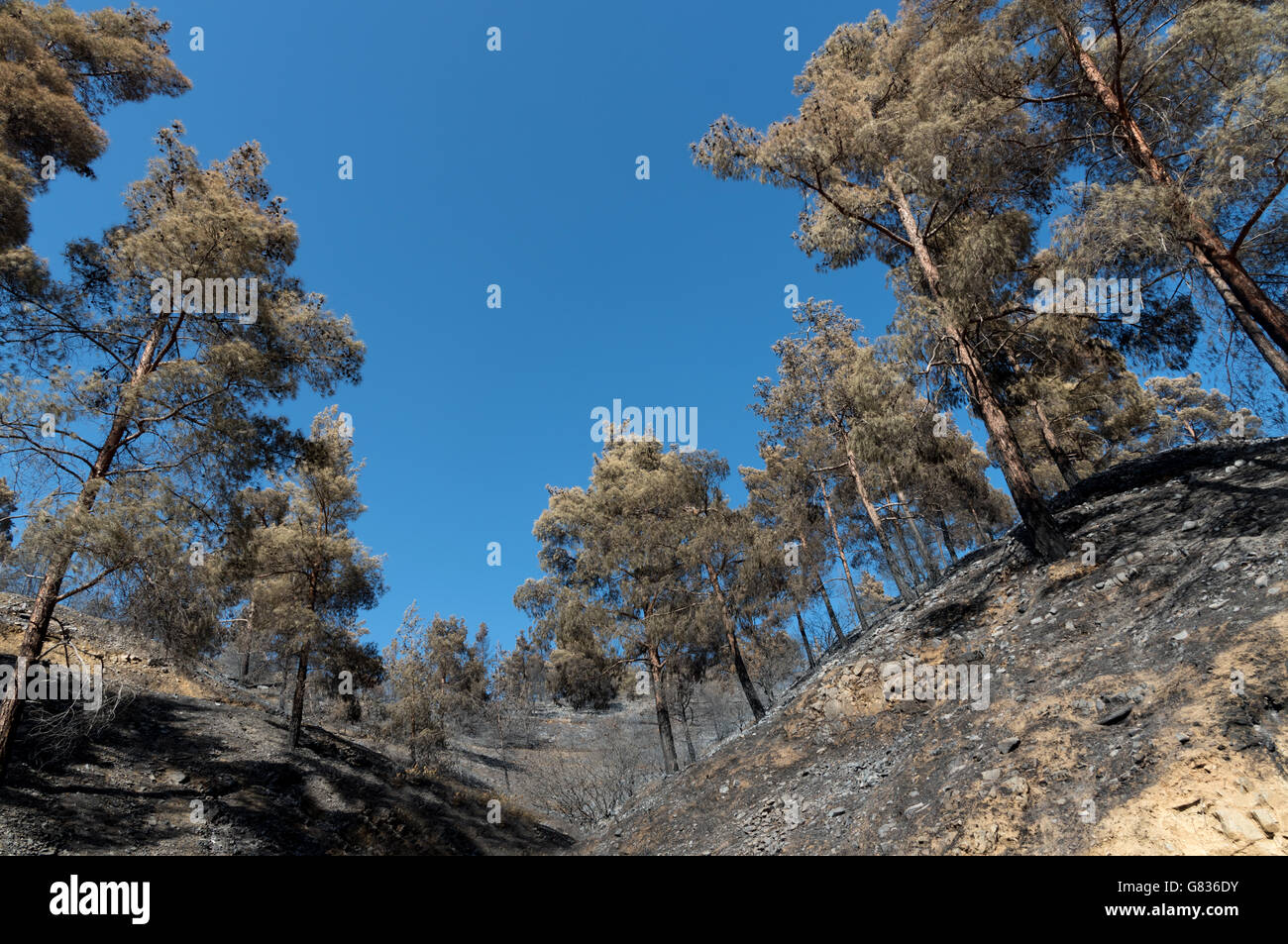 Environmental damage hi-res stock photography and images - Alamy