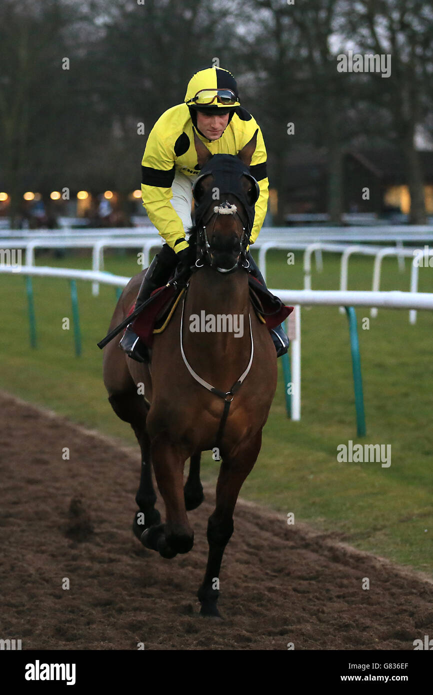 Horse Racing - Betfred Grand National Trial - Haydock Park Stock Photo ...