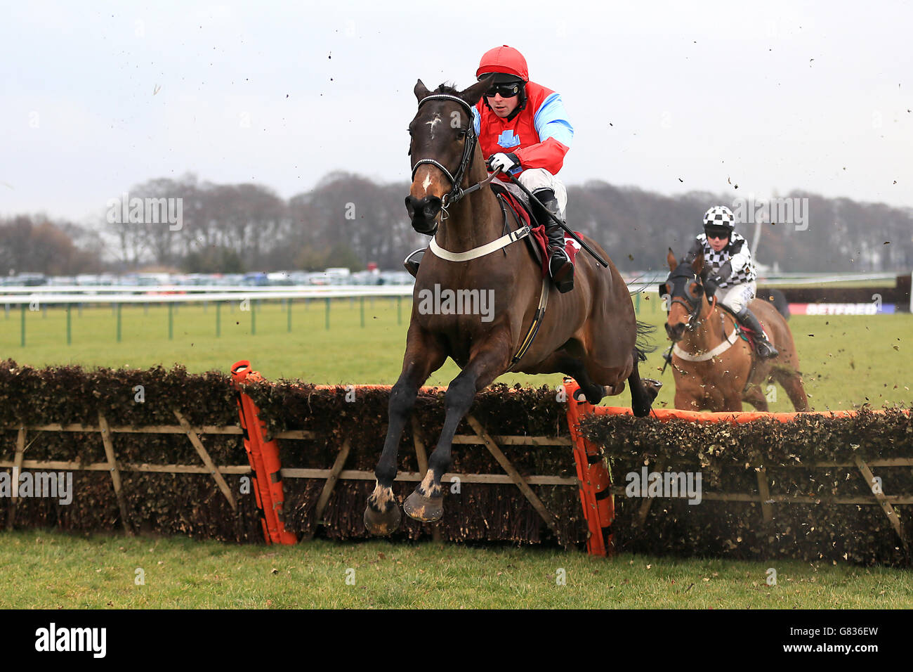 Horse Racing - Betfred Grand National Trial - Haydock Park Stock Photo ...