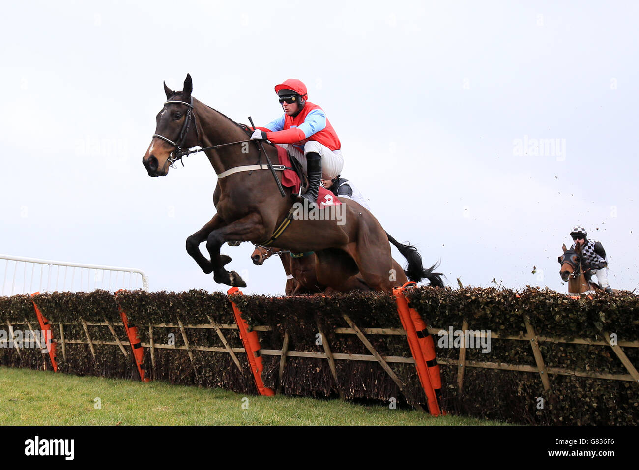 Horse Racing - Betfred Grand National Trial - Haydock Park Stock Photo ...