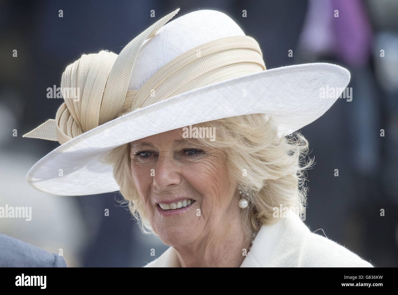 Battle of Waterloo anniversary Stock Photo - Alamy