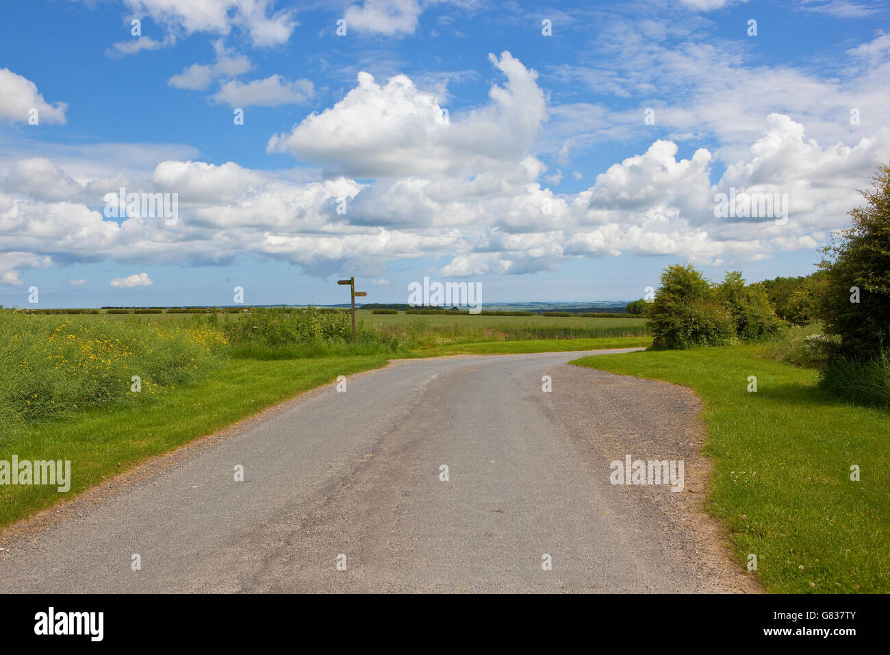 A wooden sign on the Minster way footpath in the scenic farming ...