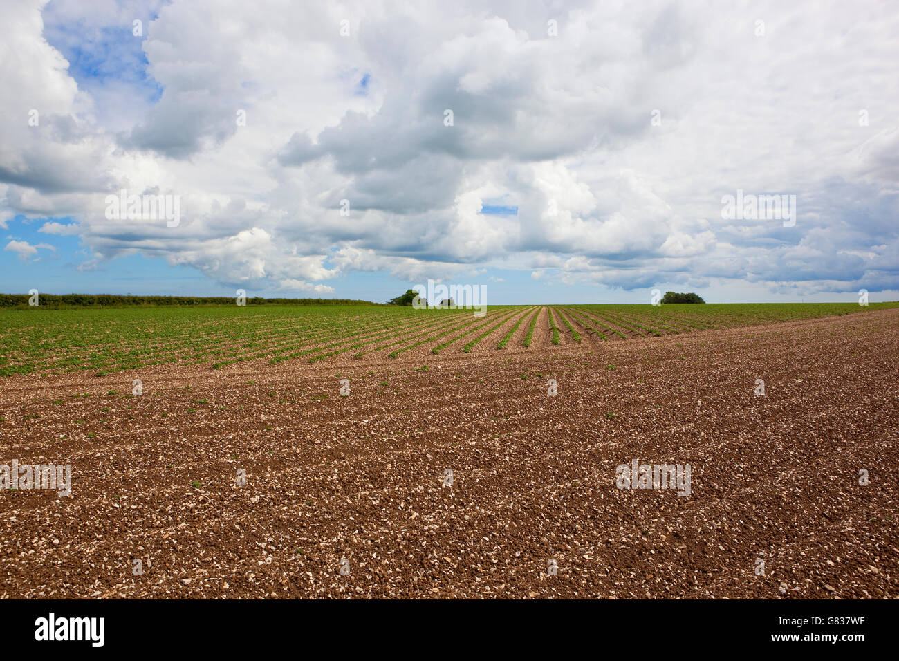 Patterns textures arable farmland hi-res stock photography and images ...