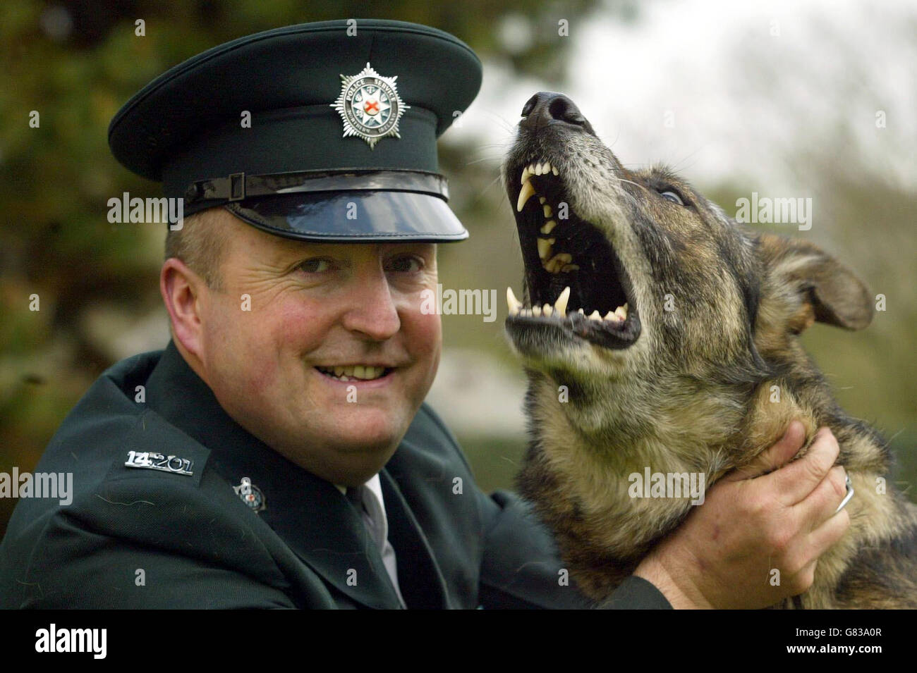 National Police Dog Championships - Auchincruive Stock Photo - Alamy