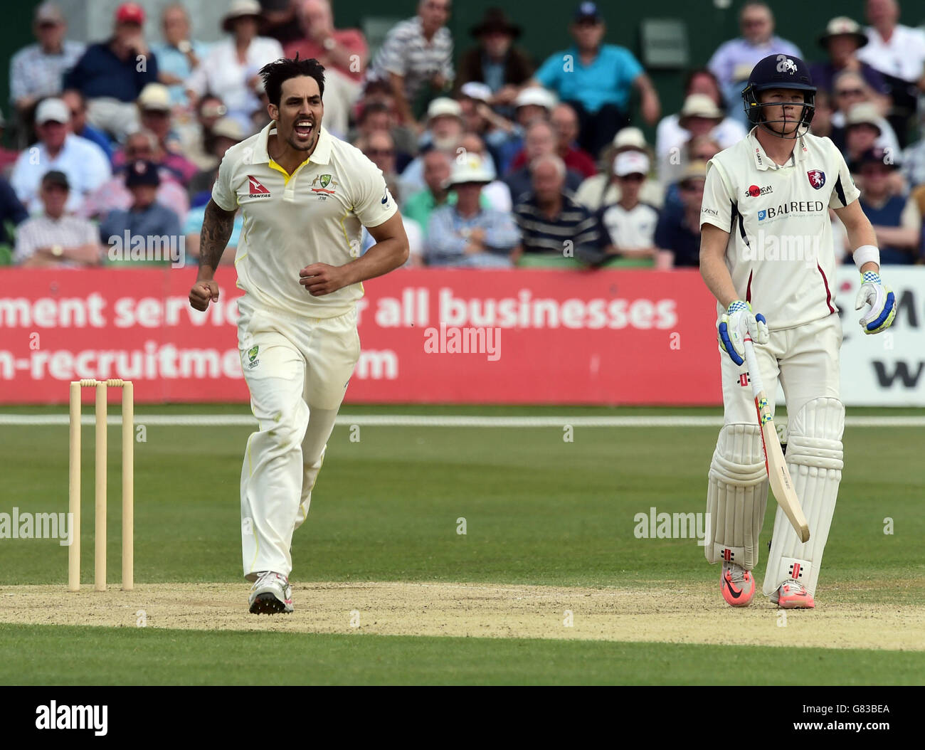 Australia's Mitchell Johnson celebrates taking the wicket of Kent's Ben ...