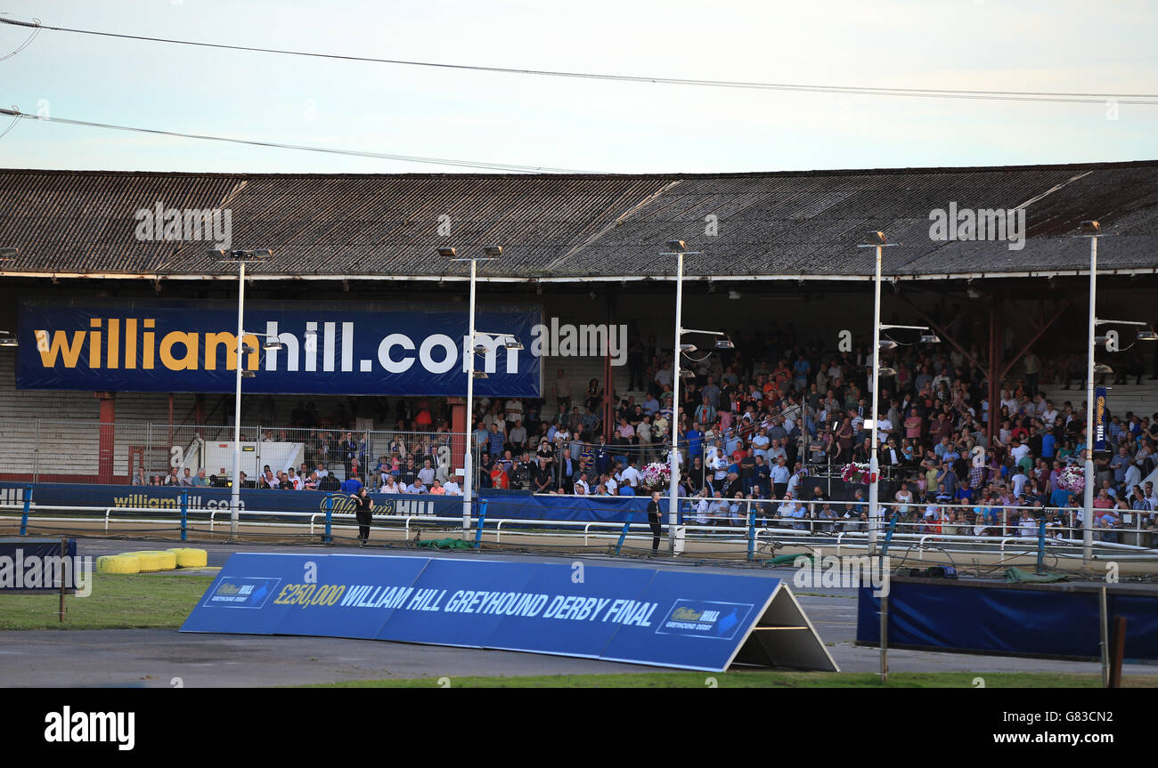 Greyhound Racing - William Hill Derby - Finals - Wimbledon Stadium ...