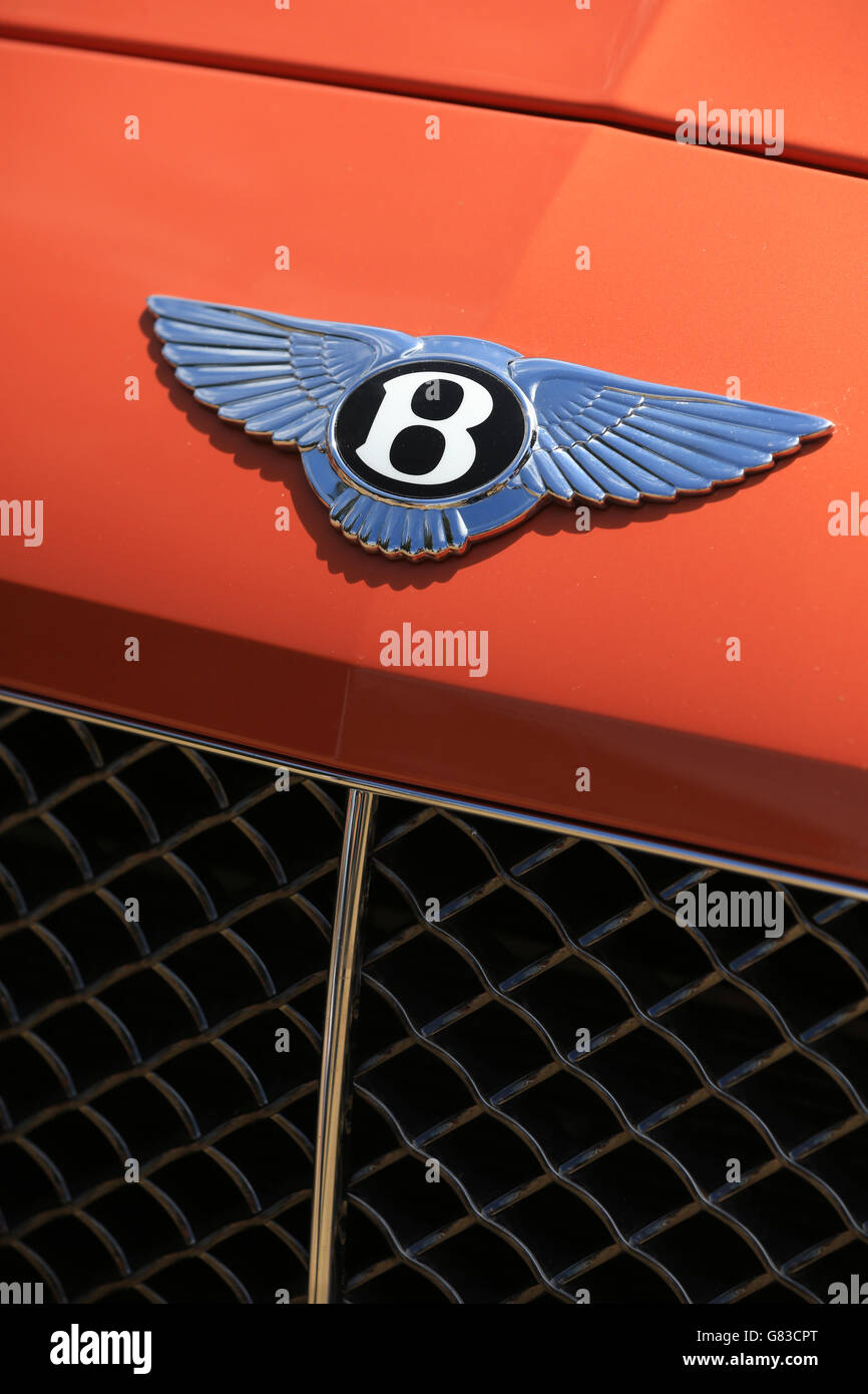 Car Badge Stock Stock Photo - Alamy