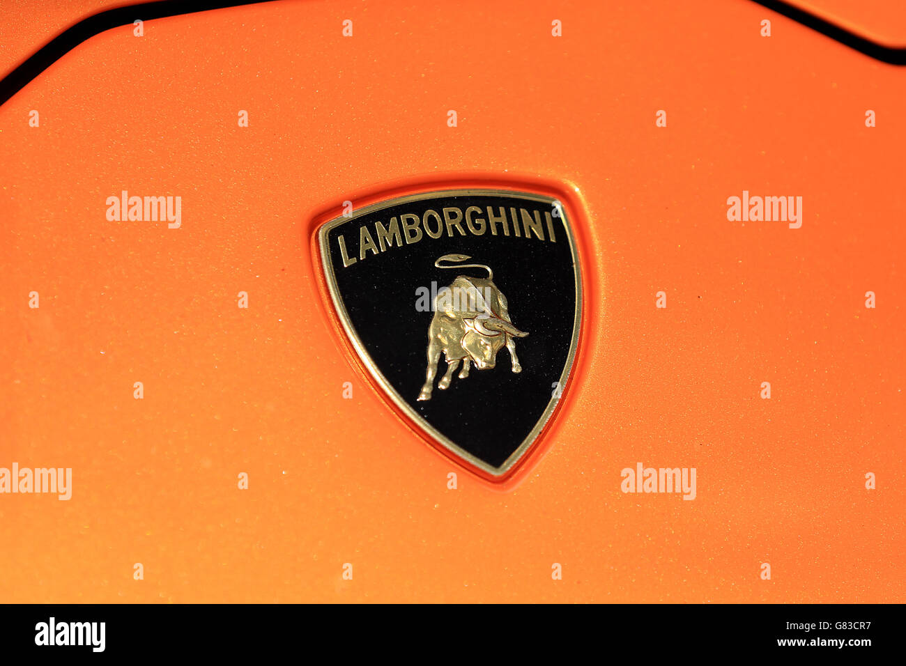 Car Badge Stock. A Lamborghini badge on the bonnet of a Lamborghini ...