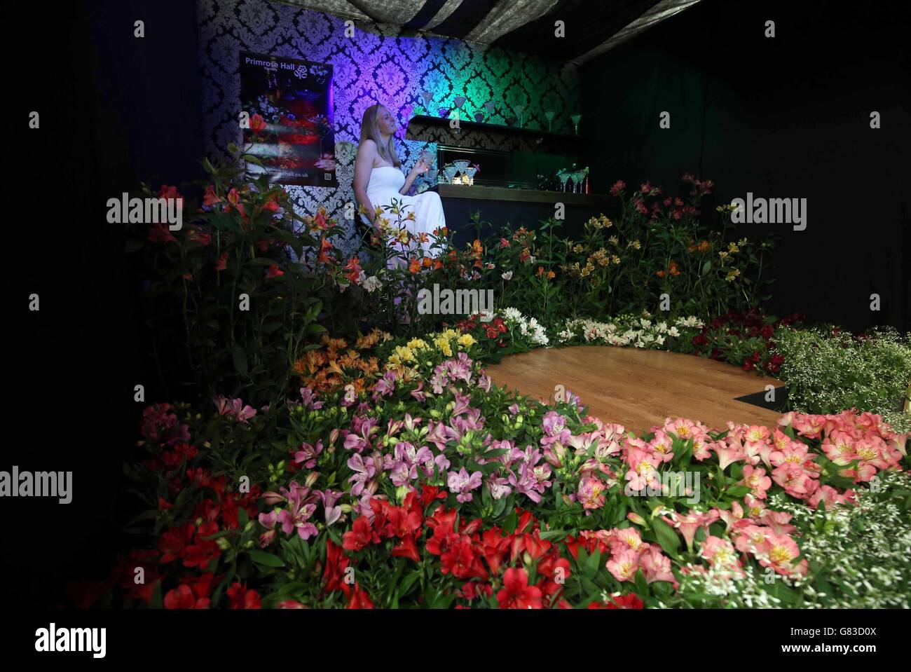 RHS Hampton Court Palace Flower Show 2015. Final preparations are made ...