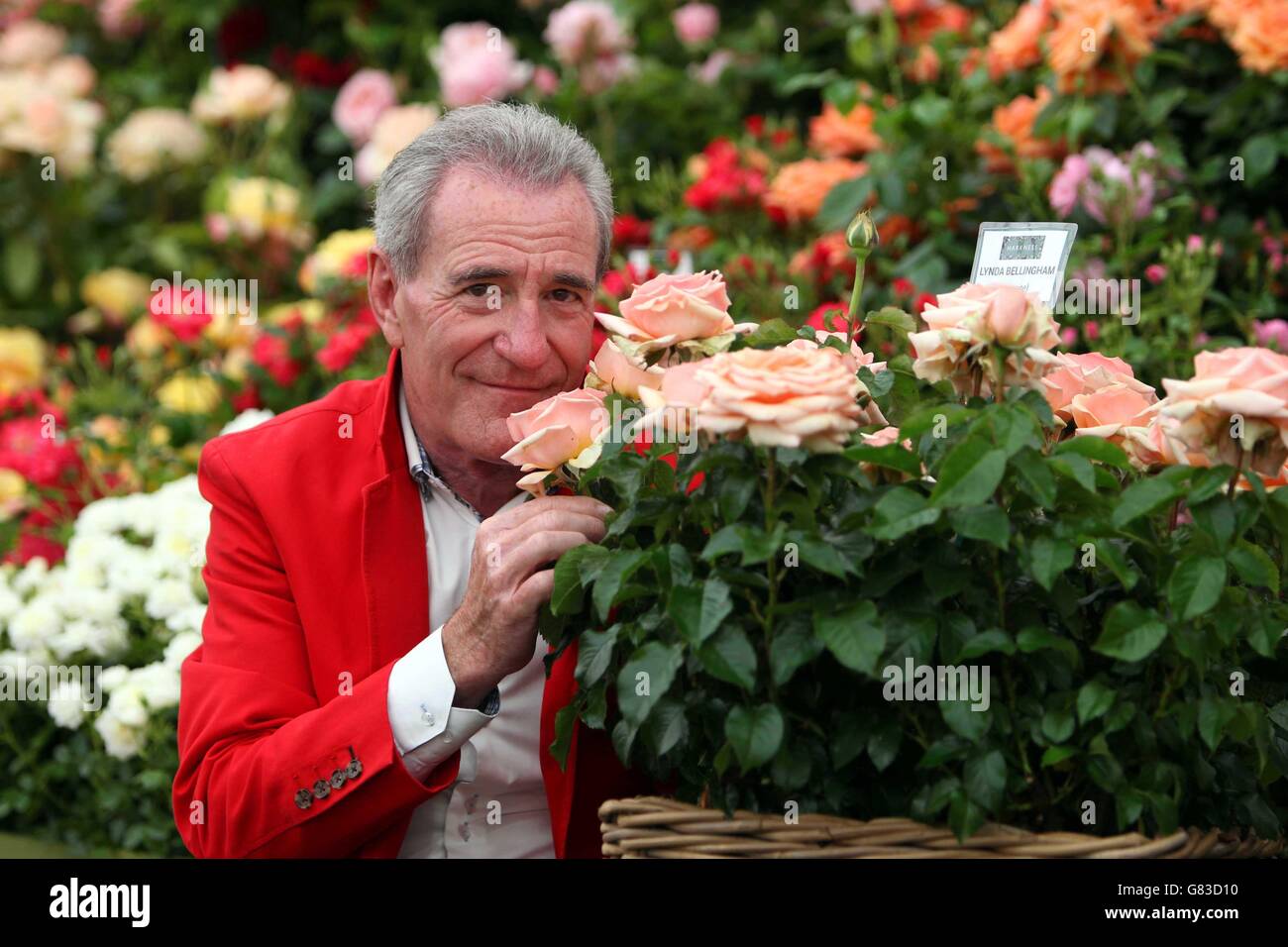 RHS Hampton Court Palace Flower Show 2015 Stock Photo - Alamy