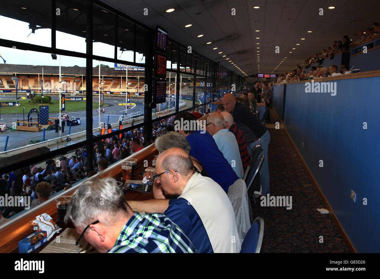 Greyhound stadium william hill hi-res stock photography and images - Alamy